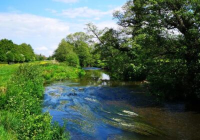 Illustrating the Culm - Connecting the Culm