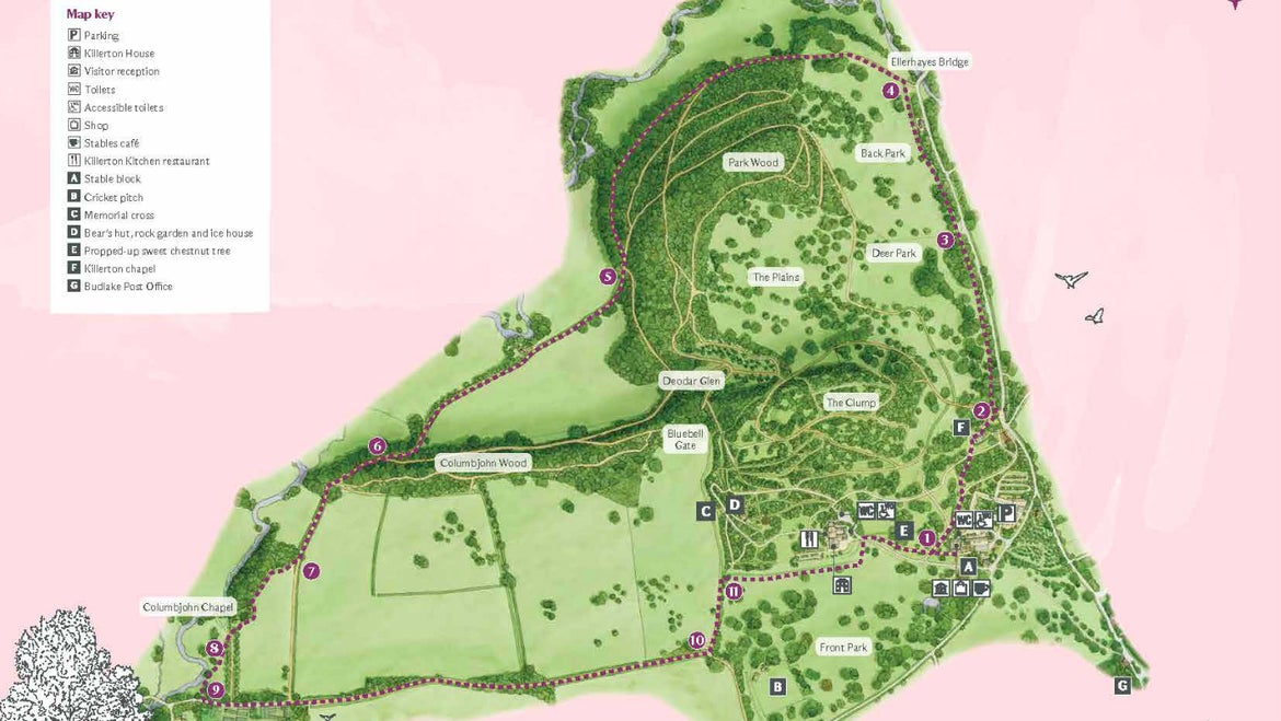 Stretch out on the Culm - Connecting the Culm