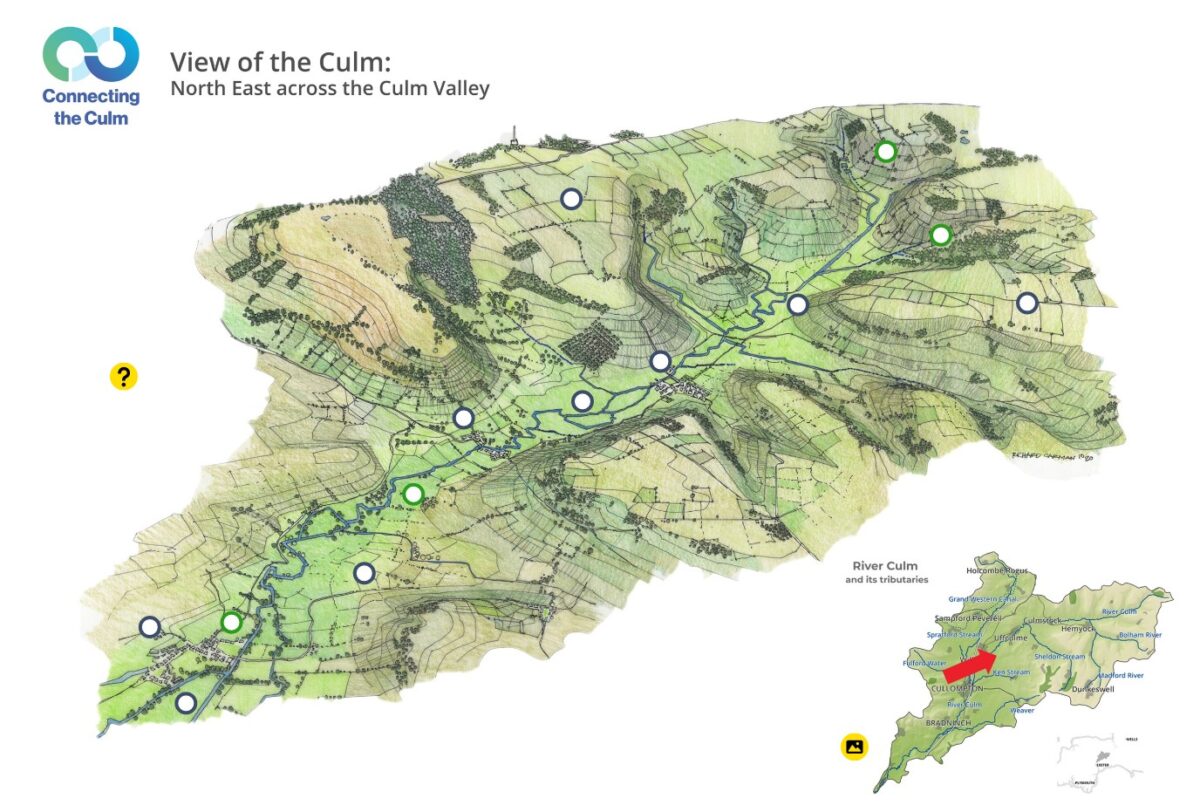 Discover the River Culm - Connecting the Culm