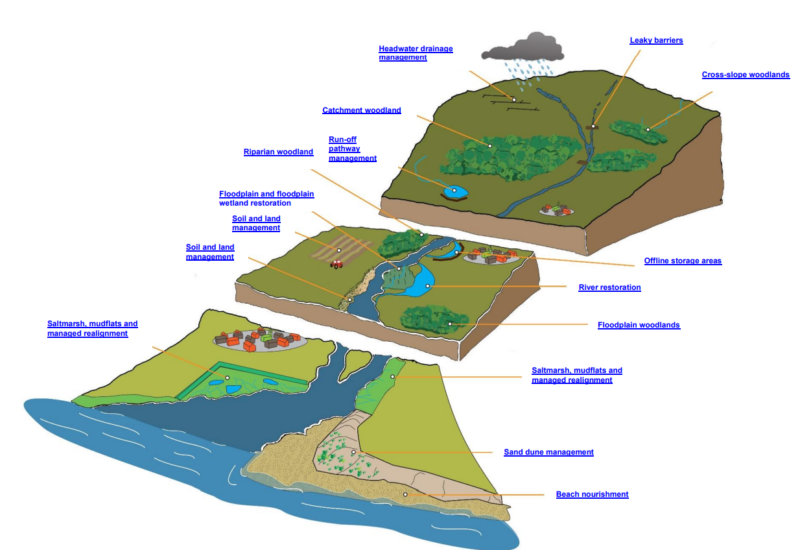 Discover the River Culm – Connecting the Culm