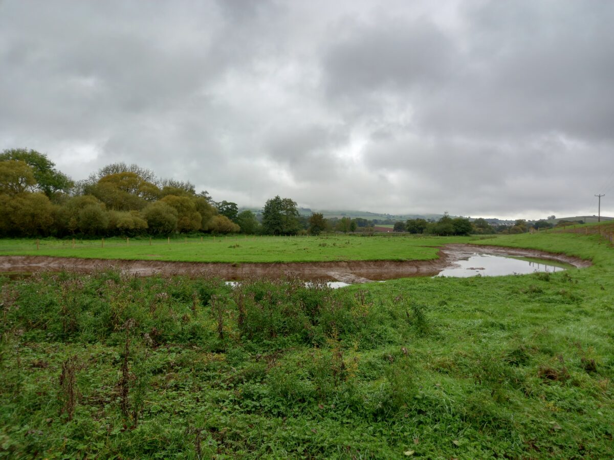 2021 - a bumper year for Connecting the Culm! - Connecting the Culm