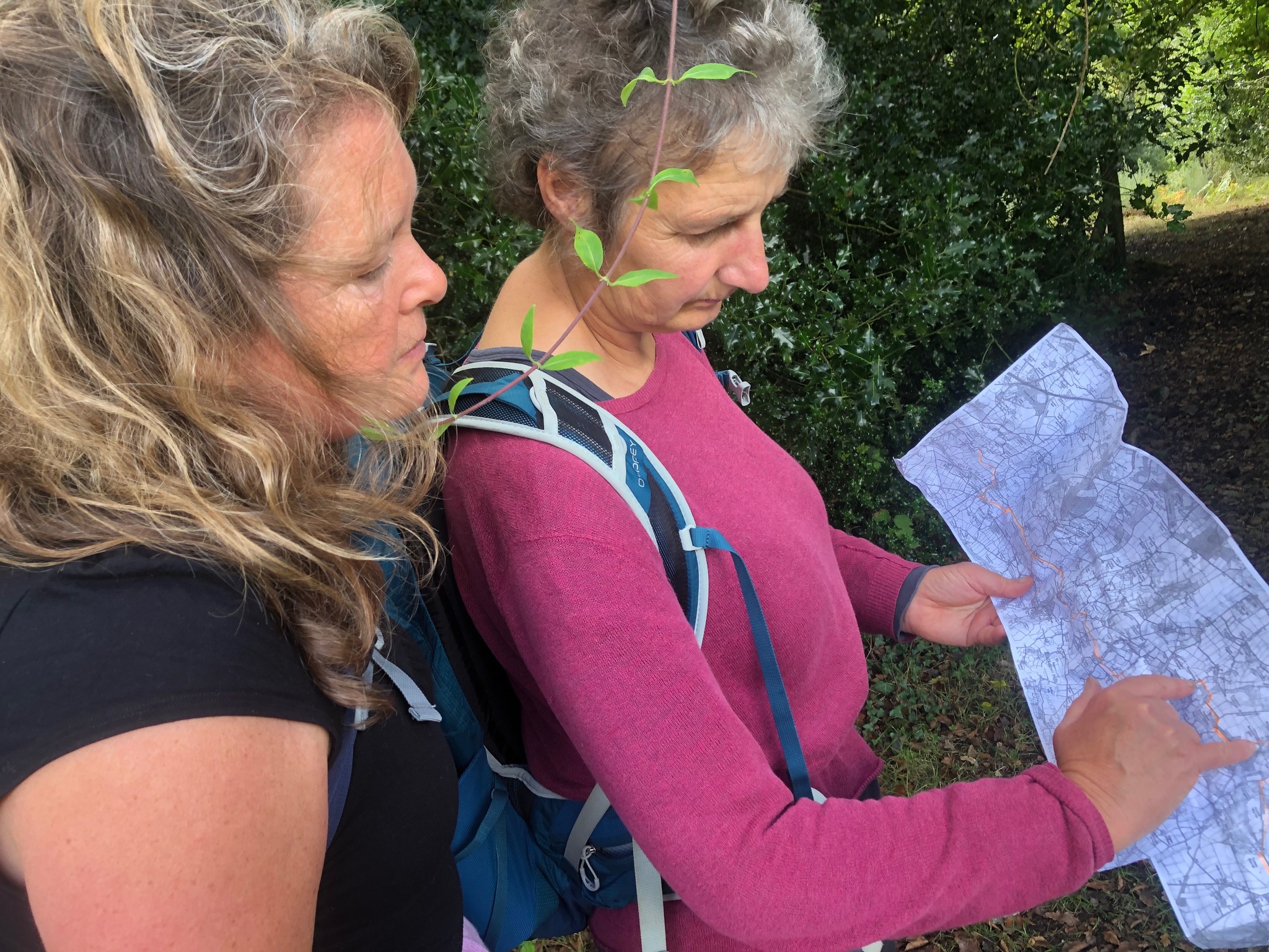 Connecting the Culm – Help us create a better future for the River Culm