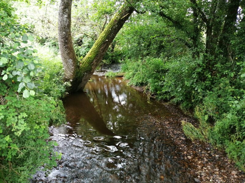 Discover the River Culm – Connecting the Culm