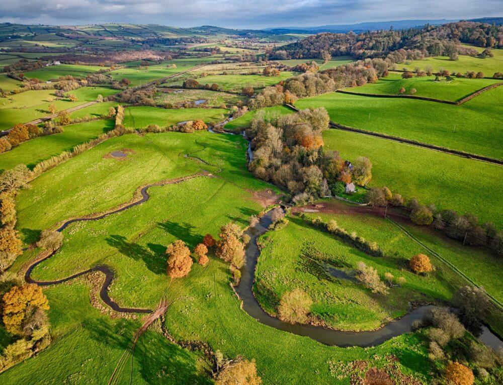 How is the River Culm performing? - Connecting the Culm