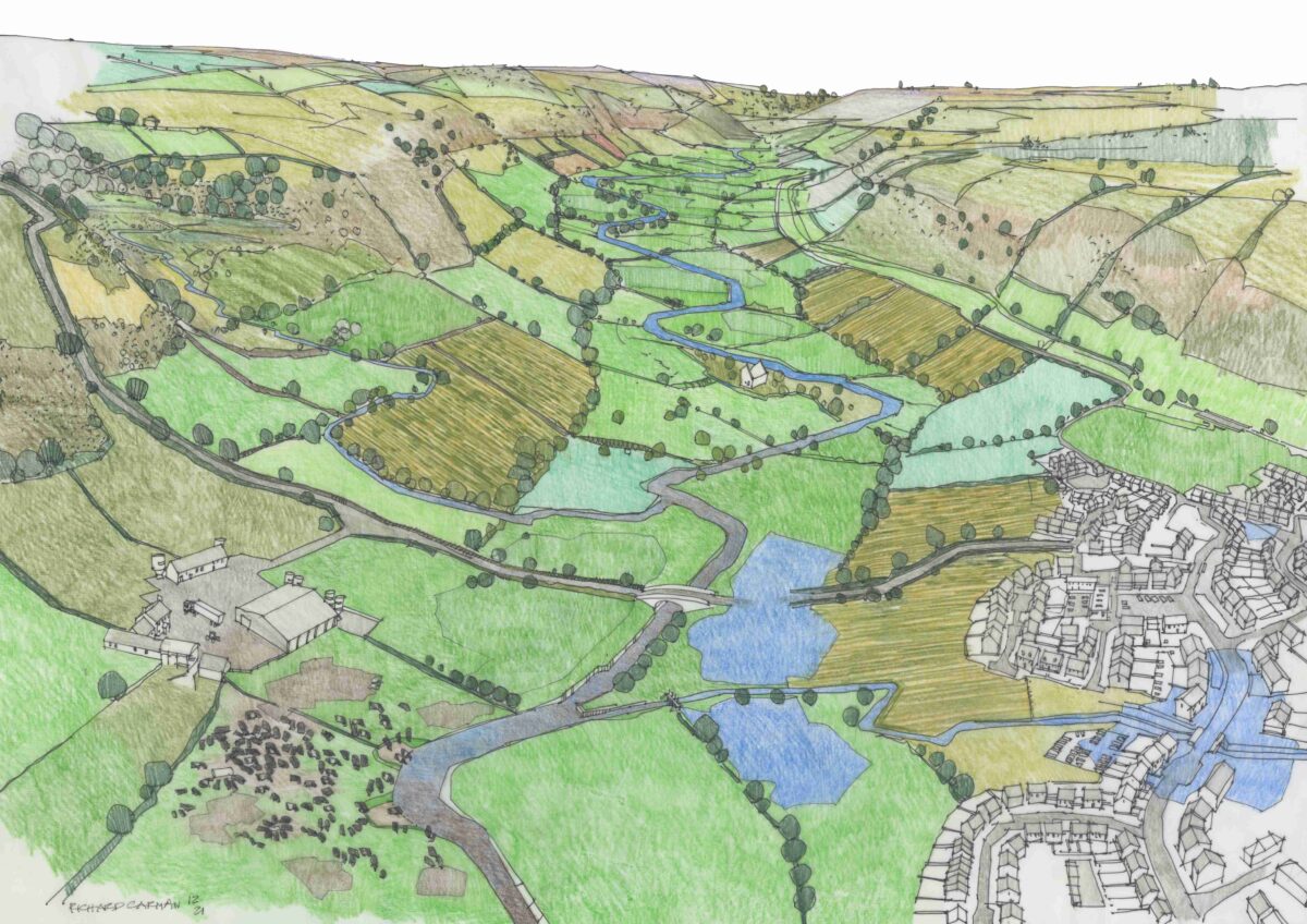 Illustrations - Connecting the Culm