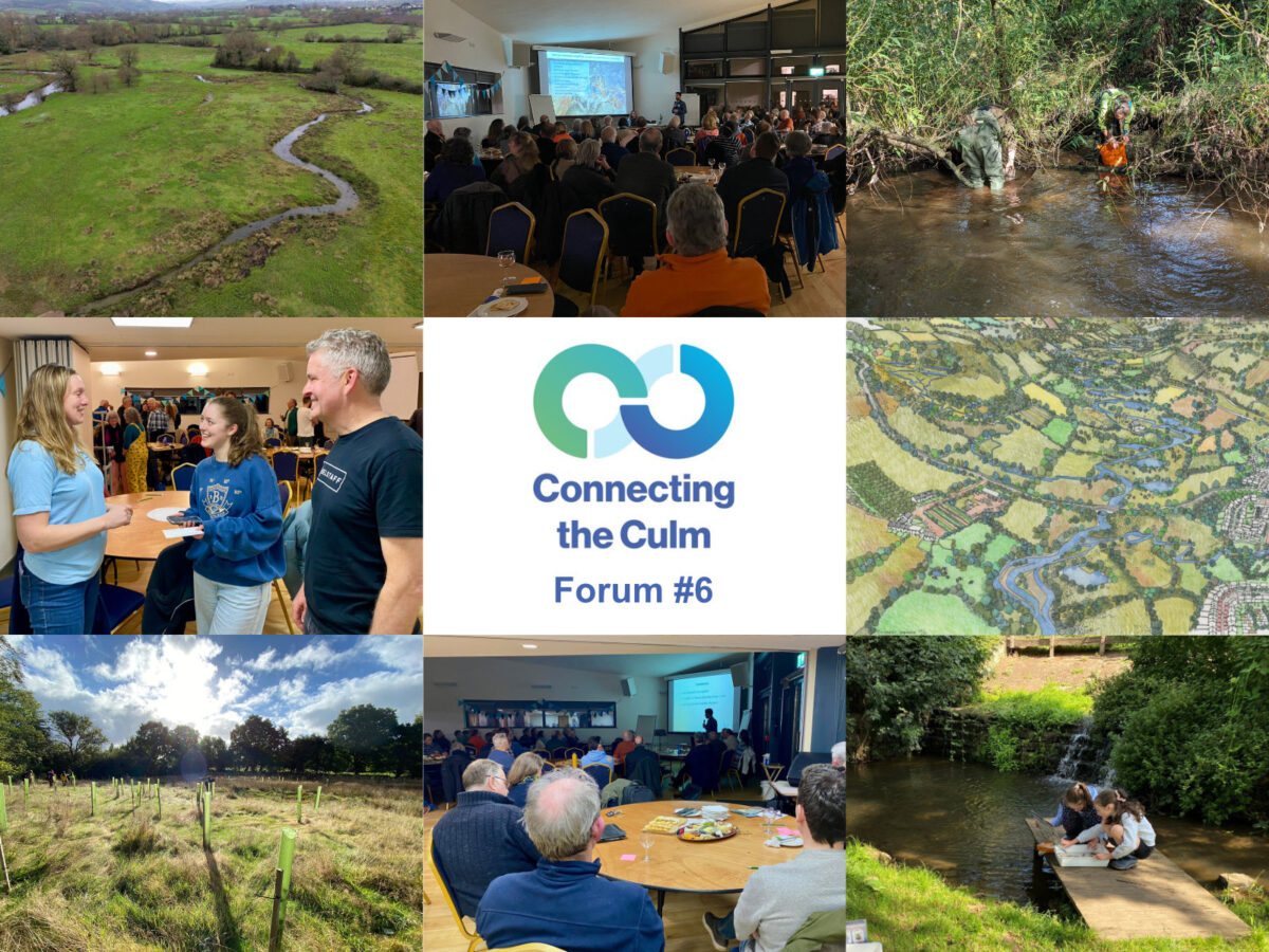 Home - Connecting the Culm