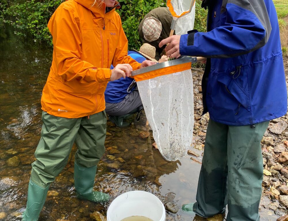 How is the River Culm performing? - Connecting the Culm