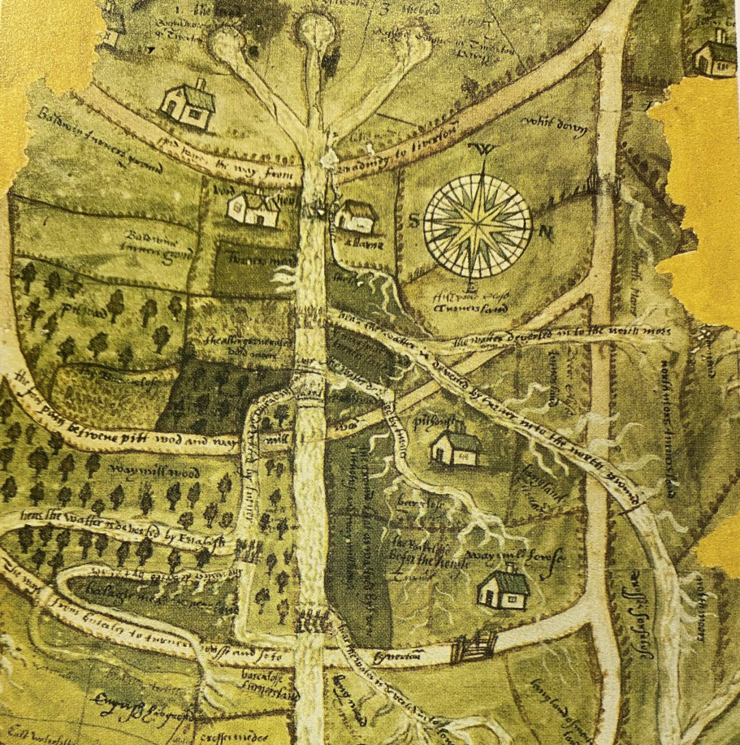 How is the River Culm performing? - Connecting the Culm