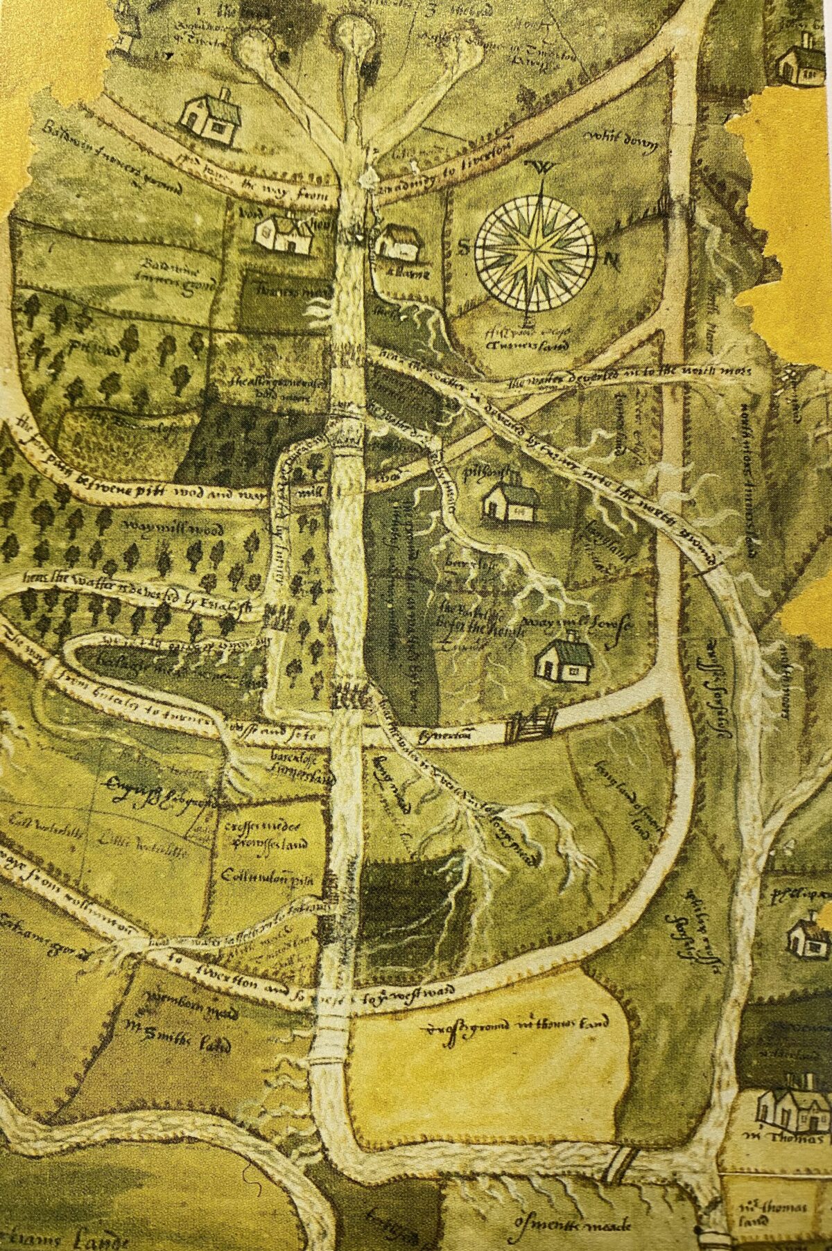 A water meadows story - Connecting the Culm